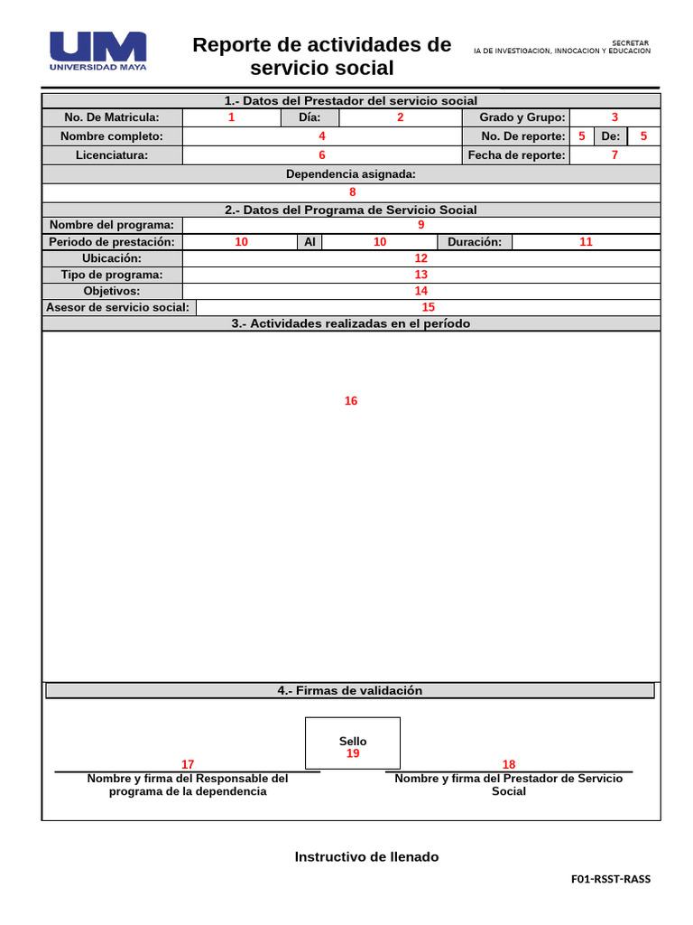 Formato de Reporte SS Instructivo para Alumnos | PDF