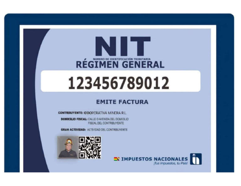 NIT | PDF