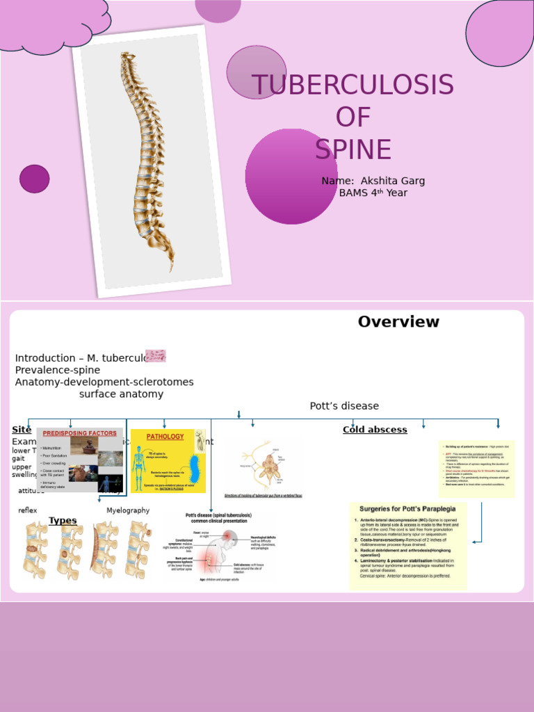 TB of Spine08.03-2024 | PDF | Vertebra | Vertebral Column