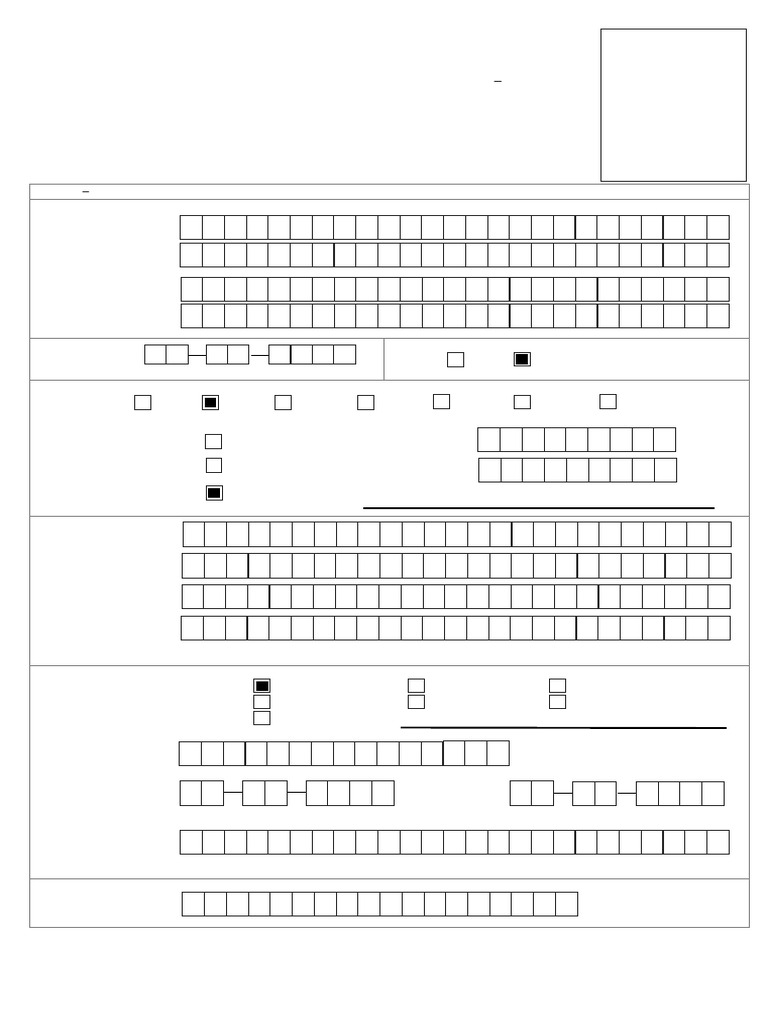 Form14a - Mamta Sinha | PDF | Passport | Justice