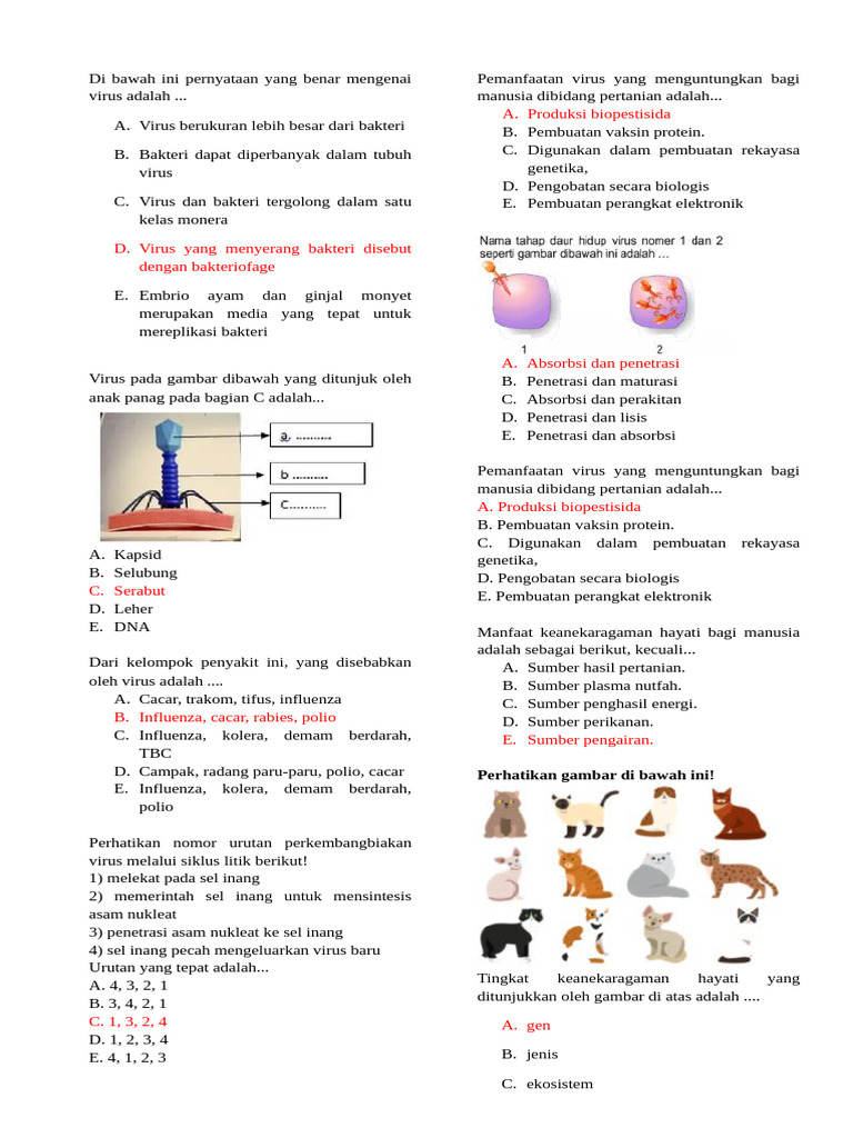 SOAL PAT BIOLOGI KELAS X 2025 | PDF