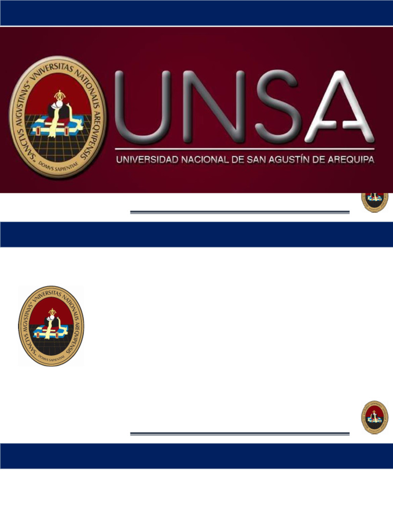 01 DPMS Capitulo I Introducción | PDF | Minería