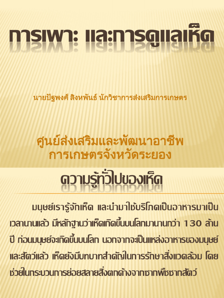 Docdata KPB Mushroom | PDF