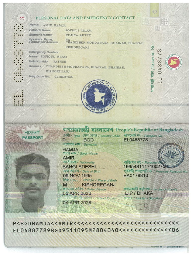 Hamja Amir Passport | PDF