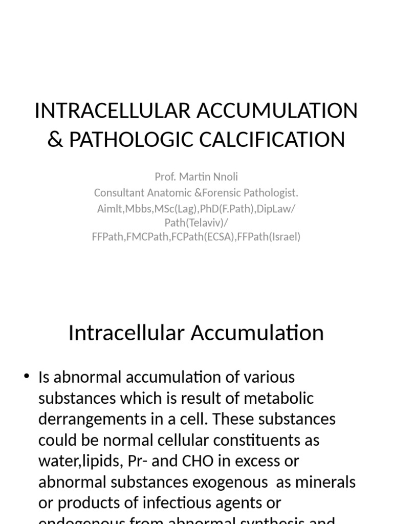 Intracellular Accumulation & Pathologic Calcification | PDF | Anatomy