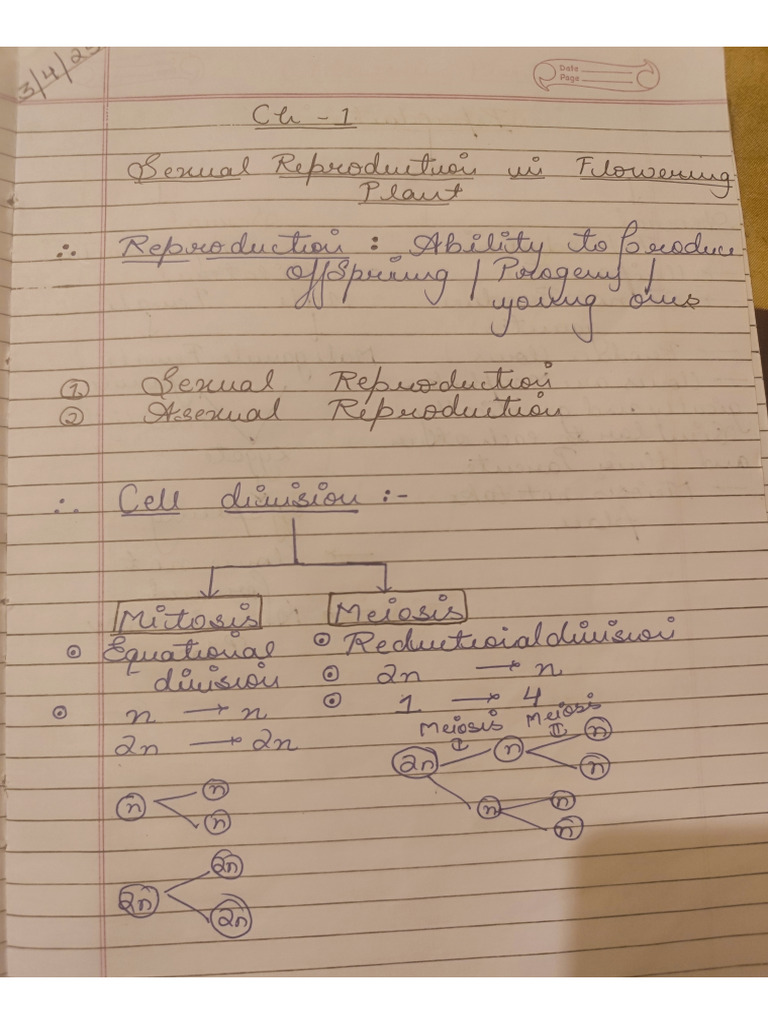 Biology CH 1 Full | PDF