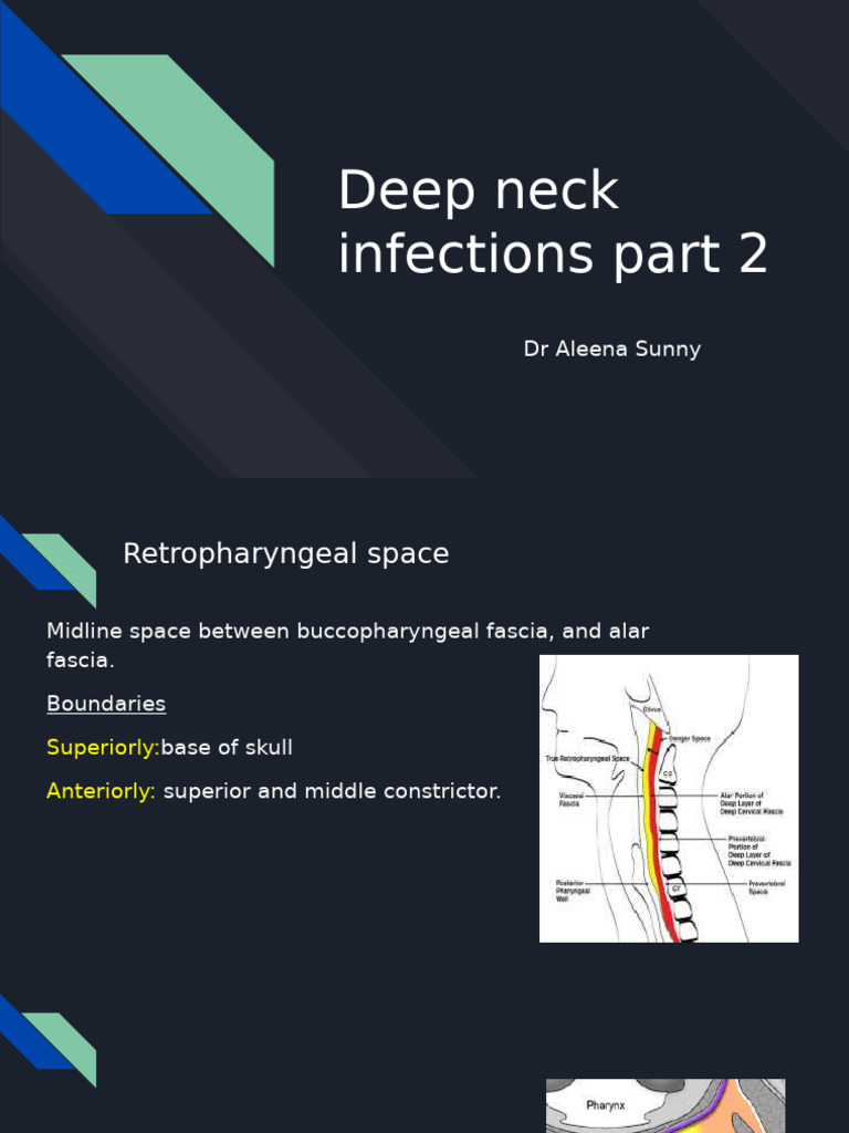 Deep Neck Infections Overview | PDF | Neck | Vertebral Column