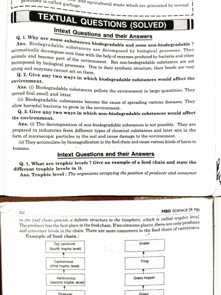 Biodegradable An Non Biodegradable Chapter Questions Amnswers | PDF