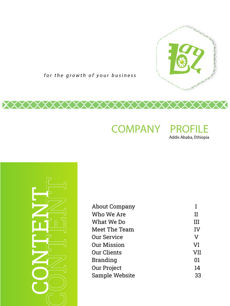 Lomi Marketing: Elevate Your Brand | PDF | Digital Marketing | Reflexology