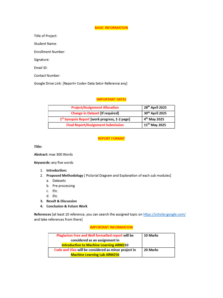 Report Format and Basic Information - April 2025 | PDF