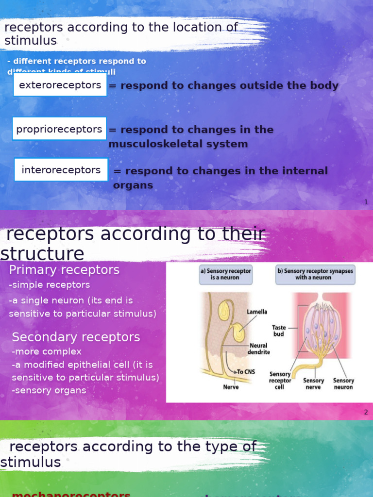 Intro + Animal Senses | PDF | Senses | Stimulus (Physiology)