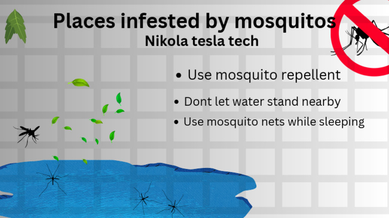 Places Infested by Mosquitos | PDF