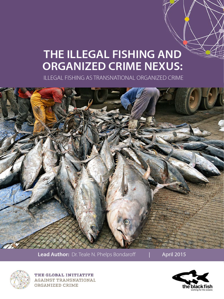 The Illegal Fishing and Organised Crime Nexus 1 | PDF | Organized Crime