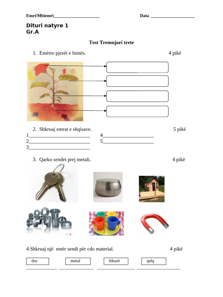 Dituri Natyre 1 - Test 3 (Vjetor) | PDF