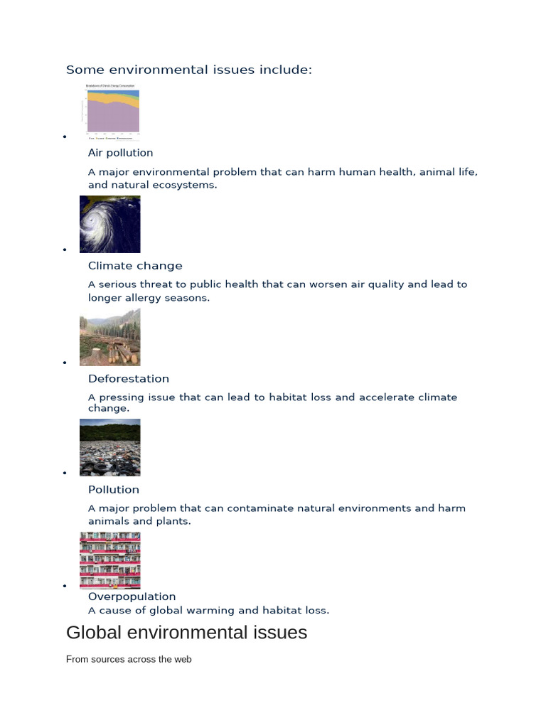 Key Environmental Issues Explained | PDF | Climate Change | Pollution