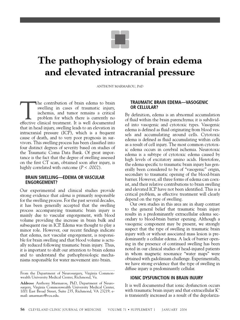 Understanding Brain Edema in Injury | PDF | Neurological Disorders ...