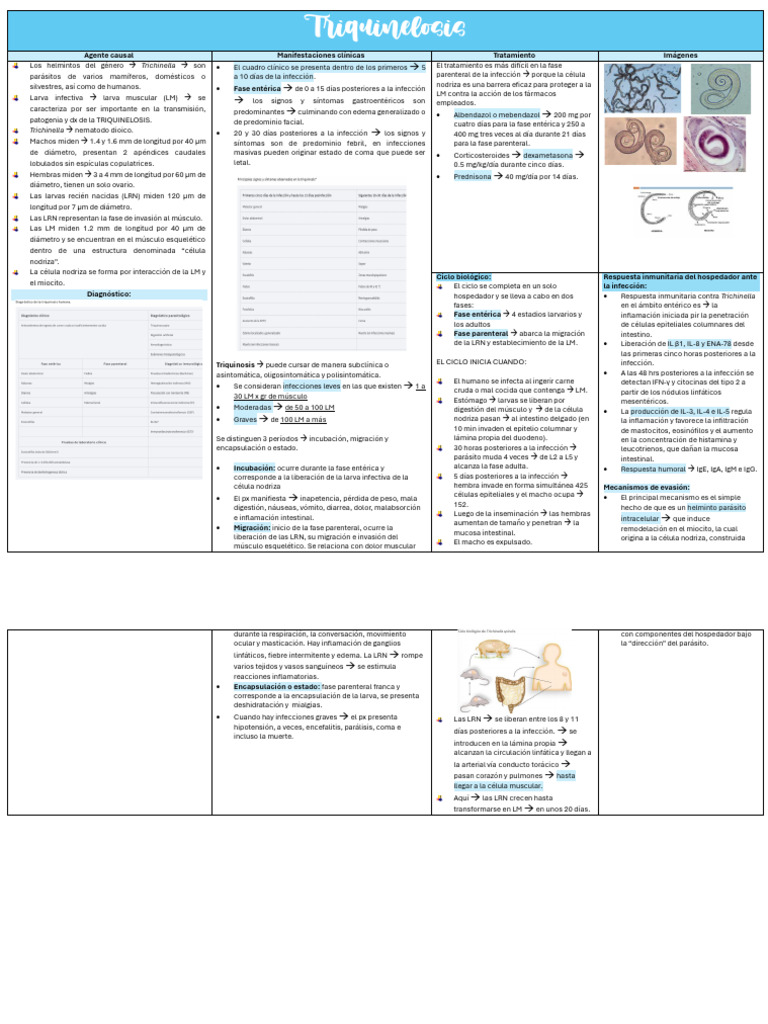 Triquinelosis | PDF | Inflamación | Especialidades Medicas