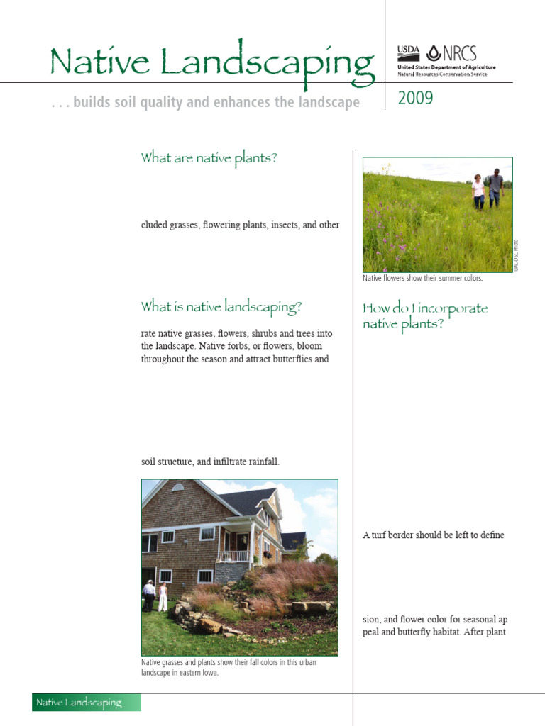 Benefits of Native Landscaping in Iowa | PDF | Prairie | Soil