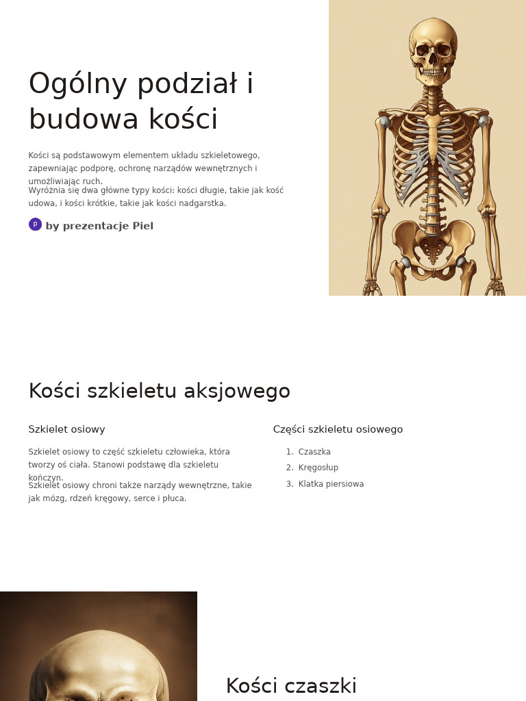 Ogolny Podzial I Budowa Kosci | PDF