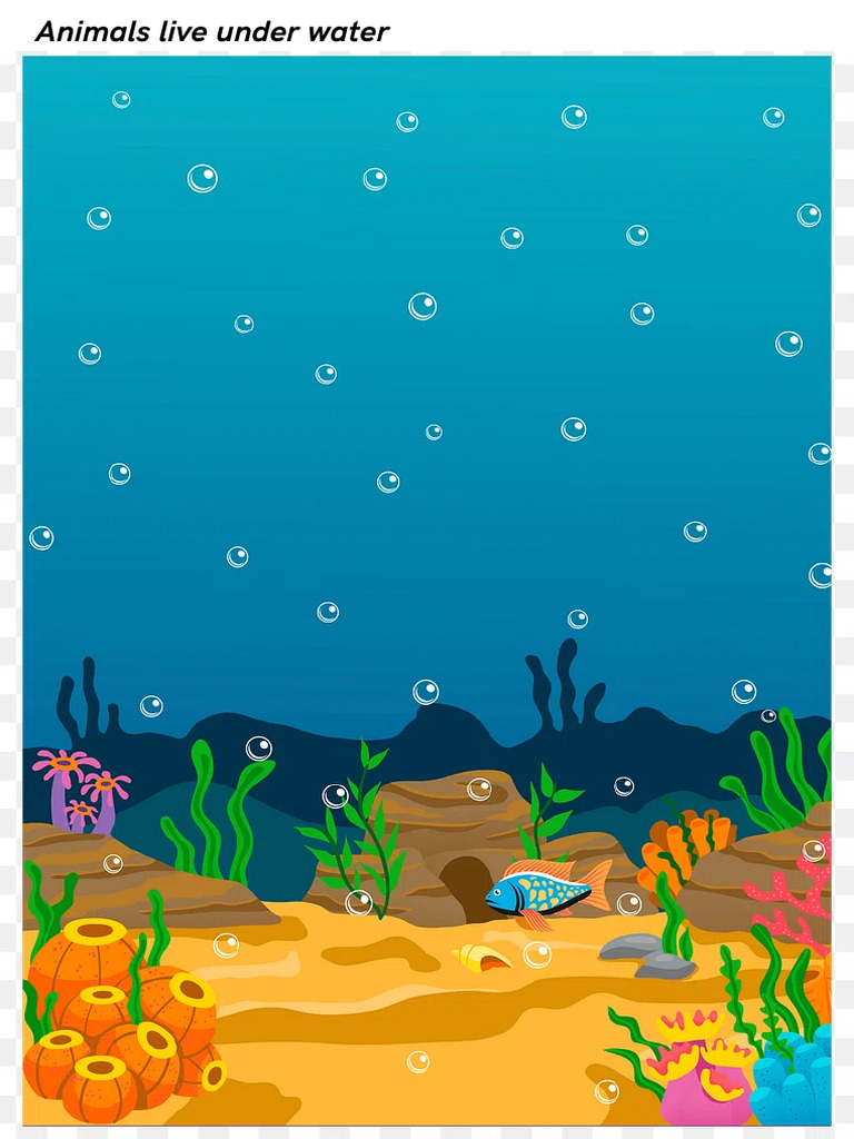 Animals Habitat Sorting Activiyty | PDF