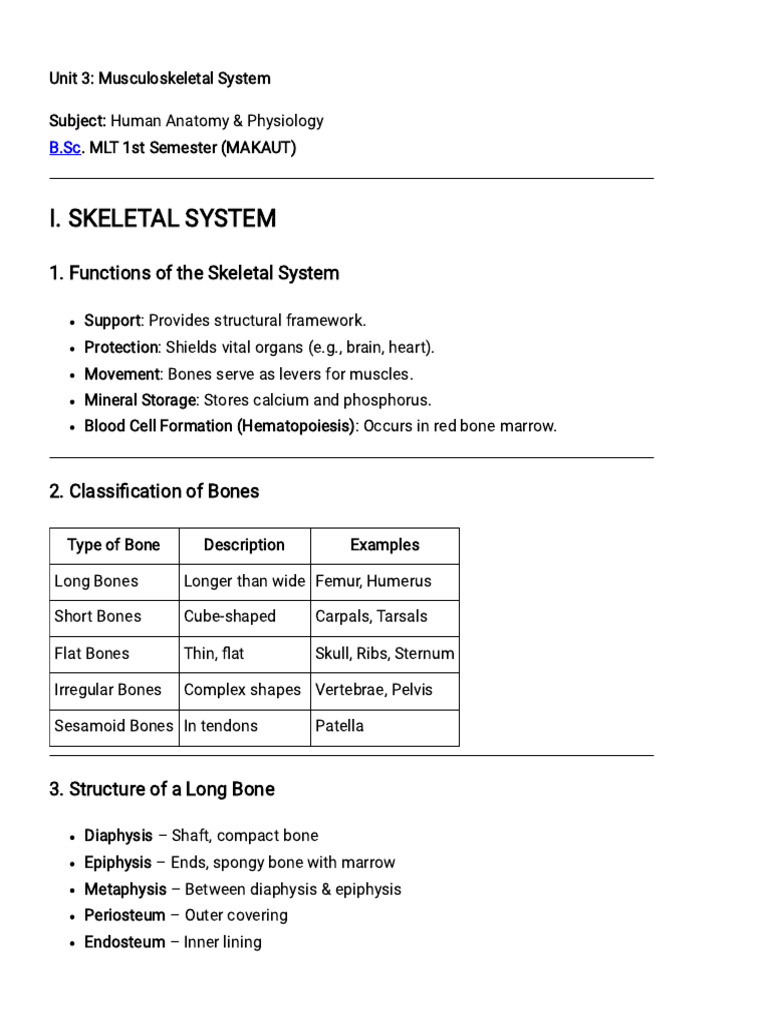 Unit 3 Anatomy | PDF | Bone | Skeletal Muscle