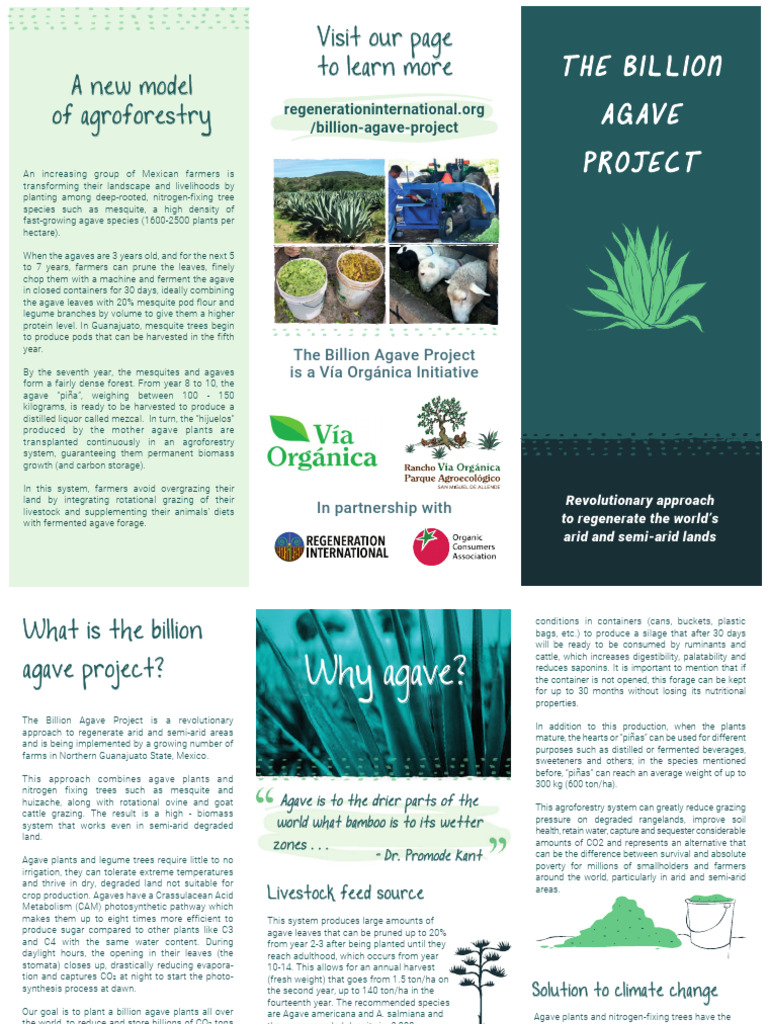 A New Model of Agroforestry Visit Our Page To Learn More: /billion-Agave-Project | PDF | Grazing ...