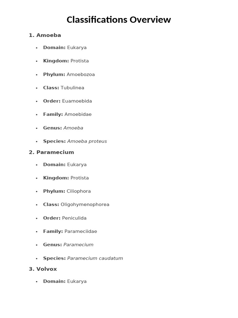 Classifications Overview | PDF | Mollusca