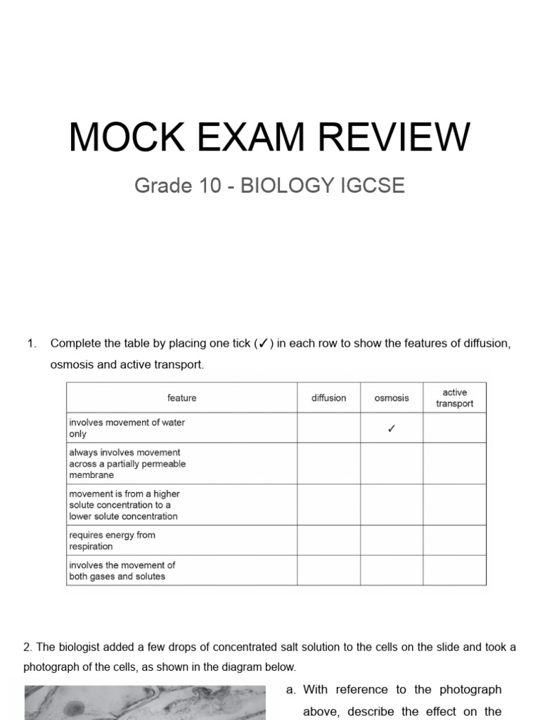 Mock Exam Reviewer | PDF | Catalase | Enzyme