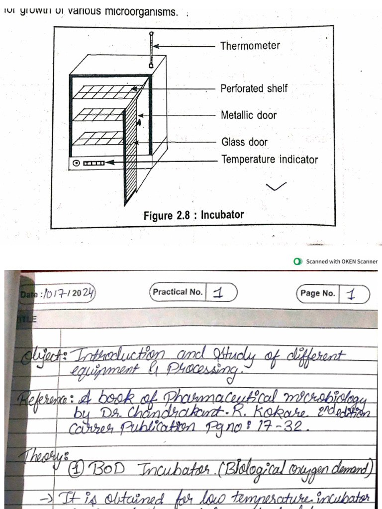 Microbiology practical 1 | PDF