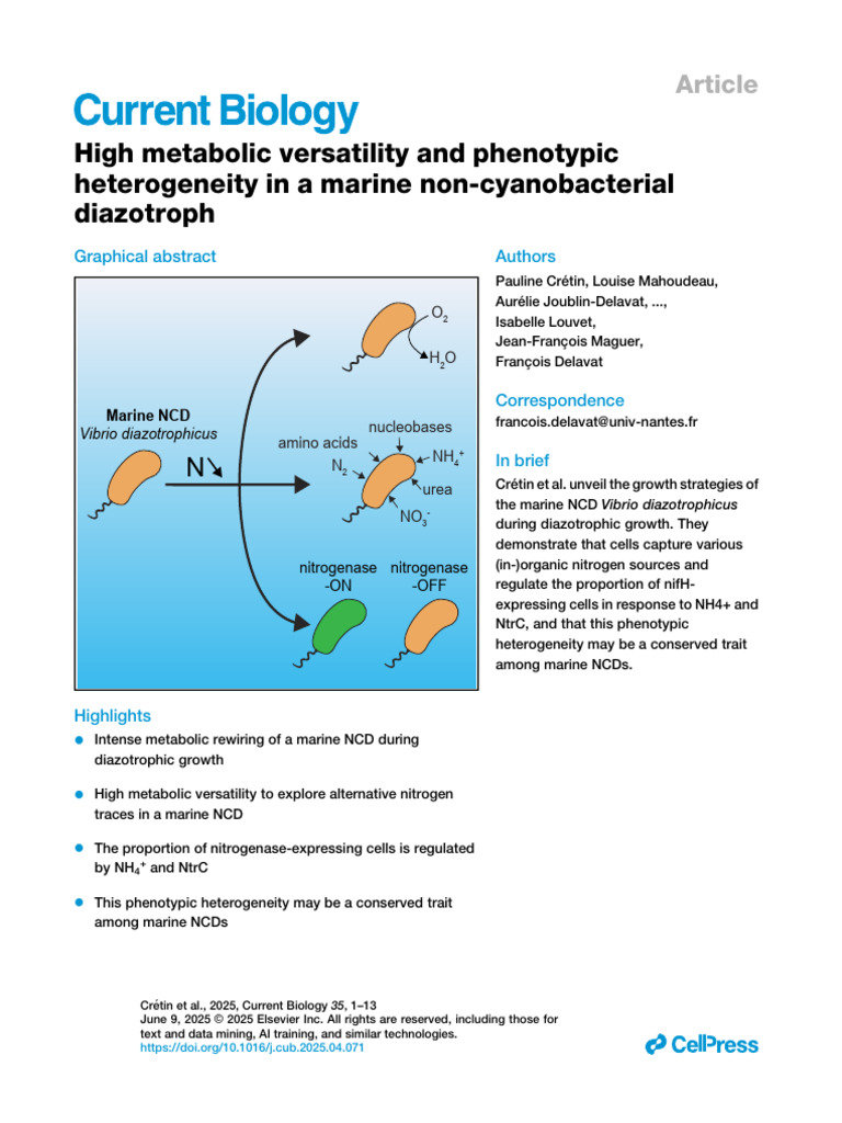 High Metabolic Versatility and Phenotypic Heterogeneity in A Marine Non ...