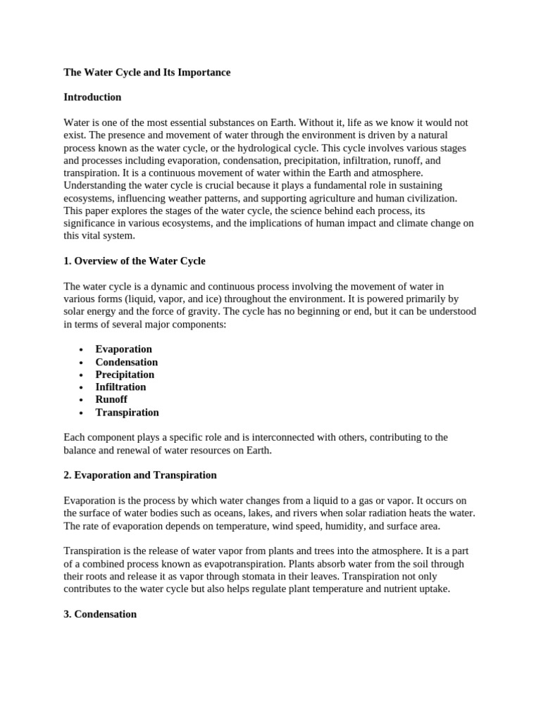 The Water Cycle and Its Importance | PDF | Water Cycle | Water