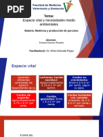 Protocolo Anestésico y Clasificación ASA | PDF | Anestesia | Cirugía