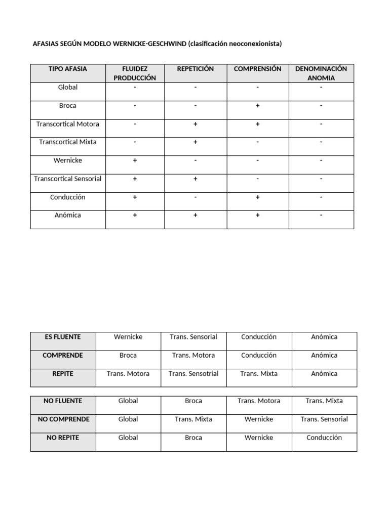 Clasificación de Afasias Wernicke-Geschwind | PDF