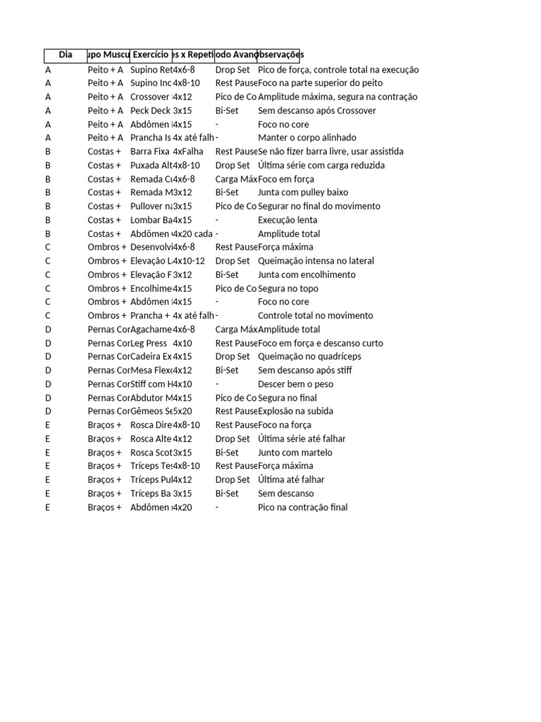 Planilha Treino ABCDE Profissional | PDF