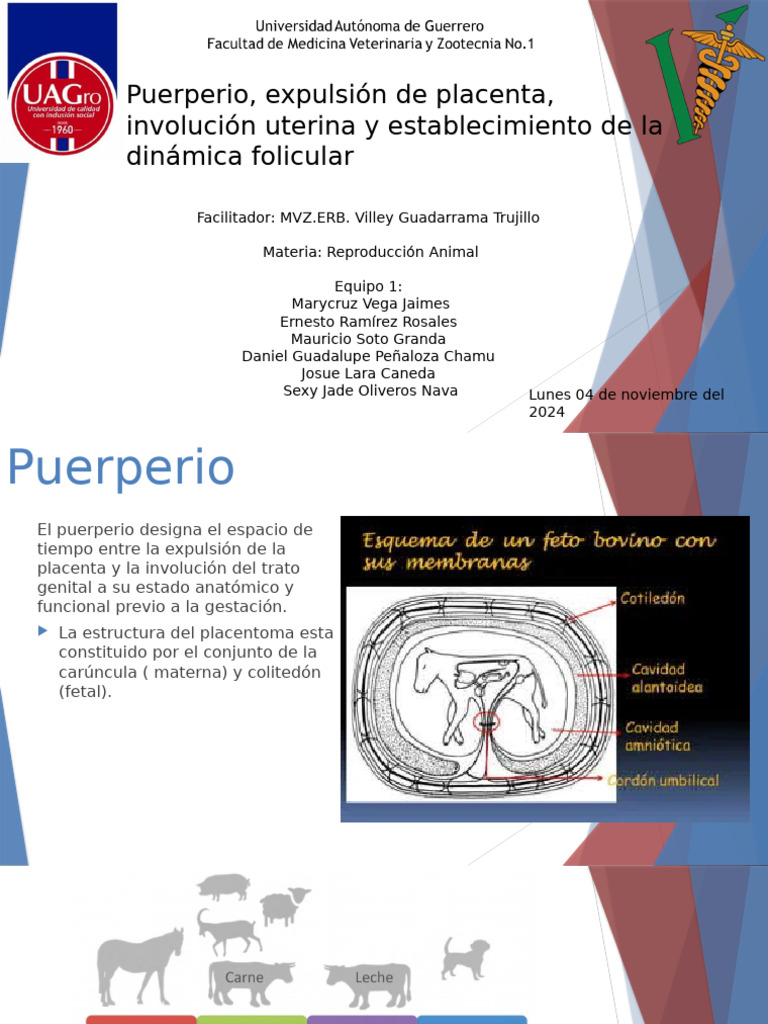 Expulsion de Placenta | PDF | Hormona luteinizante | Periodo posparto