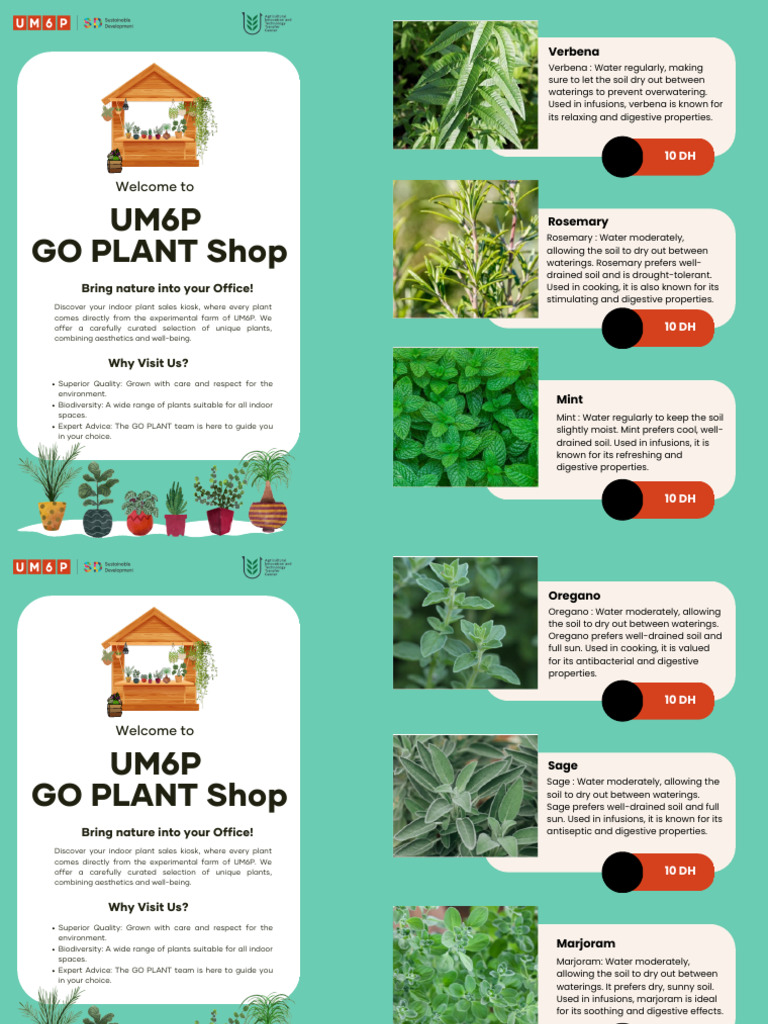 Um6p Go Plant Catalogue | PDF | Houseplant | Horticulture