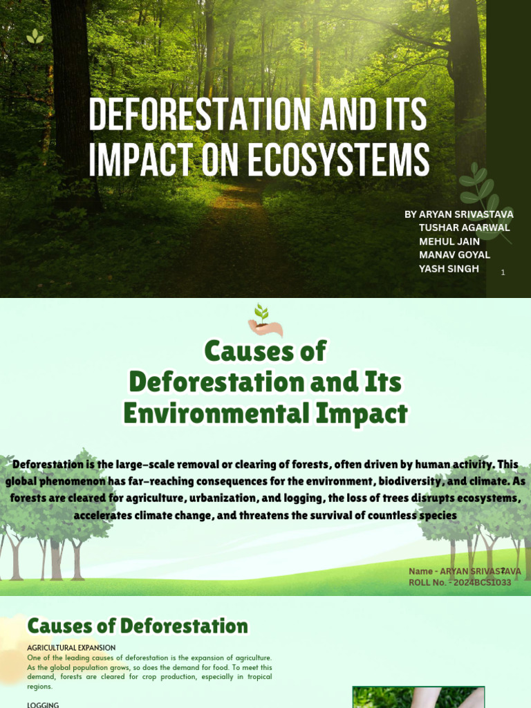 Deforestation: Causes and Environmental Effects | PDF | Deforestation ...