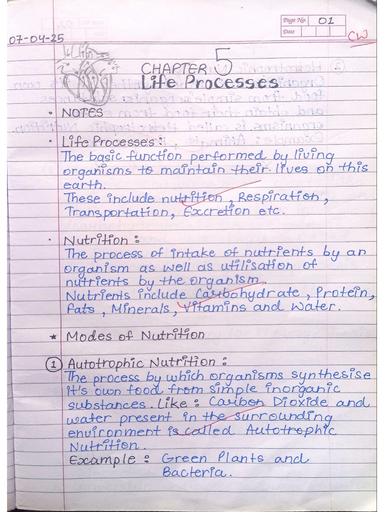 Biology - Ch-5 Life Process | PDF