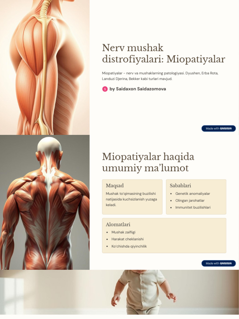 Nerv Mushak Distrofiyalari Miopatiyalar | PDF