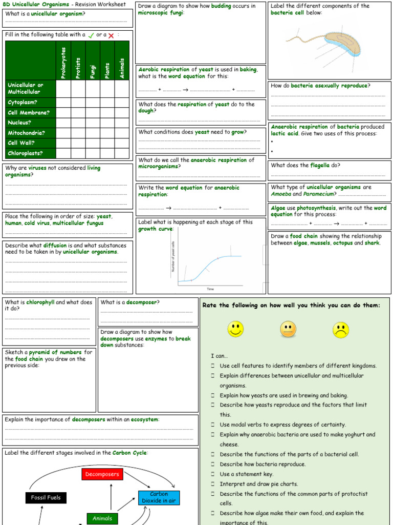 Unicellular Organisms Revision Worksheet | PDF | Bacteria | Cell (Biology)