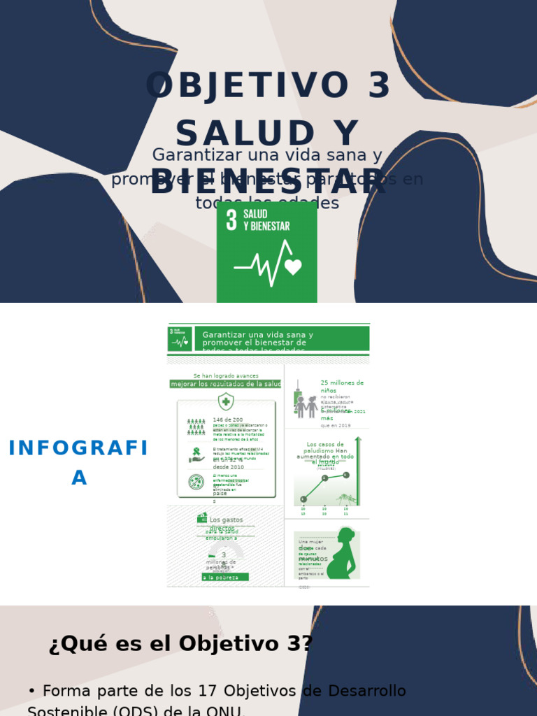 Salud y Bienestar | PDF | Malaria | Contaminación