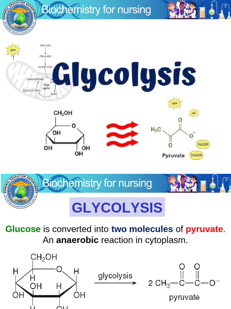 Biochemistry Glycolysis | PDF | Glycolysis | Adenosine Triphosphate