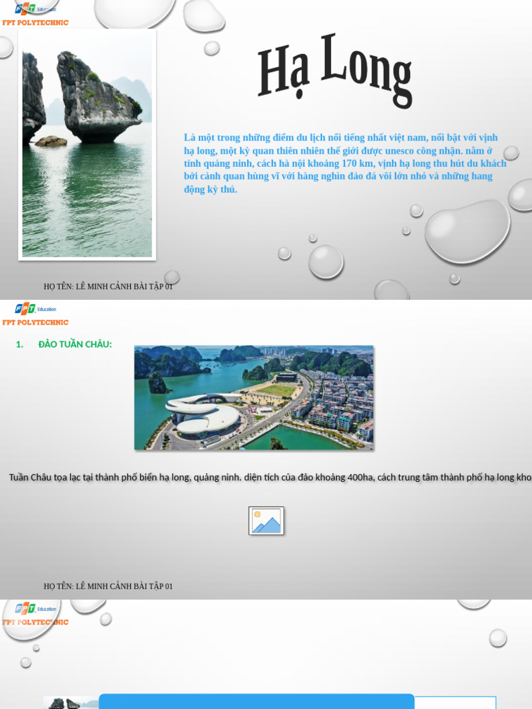 Mau BT1 PowerPoint | PDF