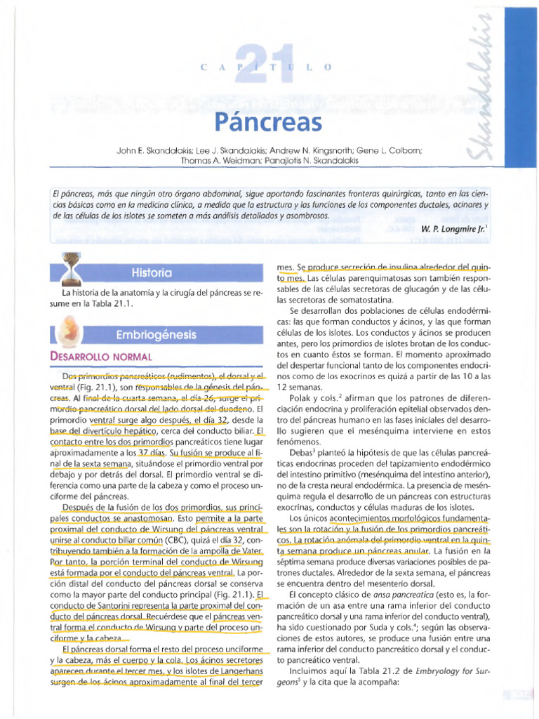 Pancreas | PDF | Páncreas | Gastroenterología