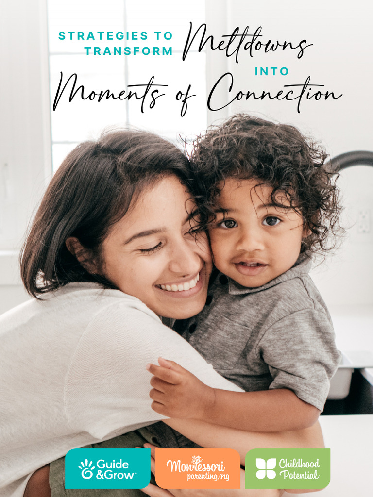 Effective Strategies for Managing Meltdowns | PDF