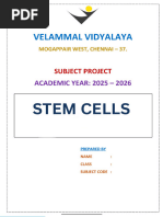 Stem Cell Project | PDF | Stem Cell | Cell Potency
