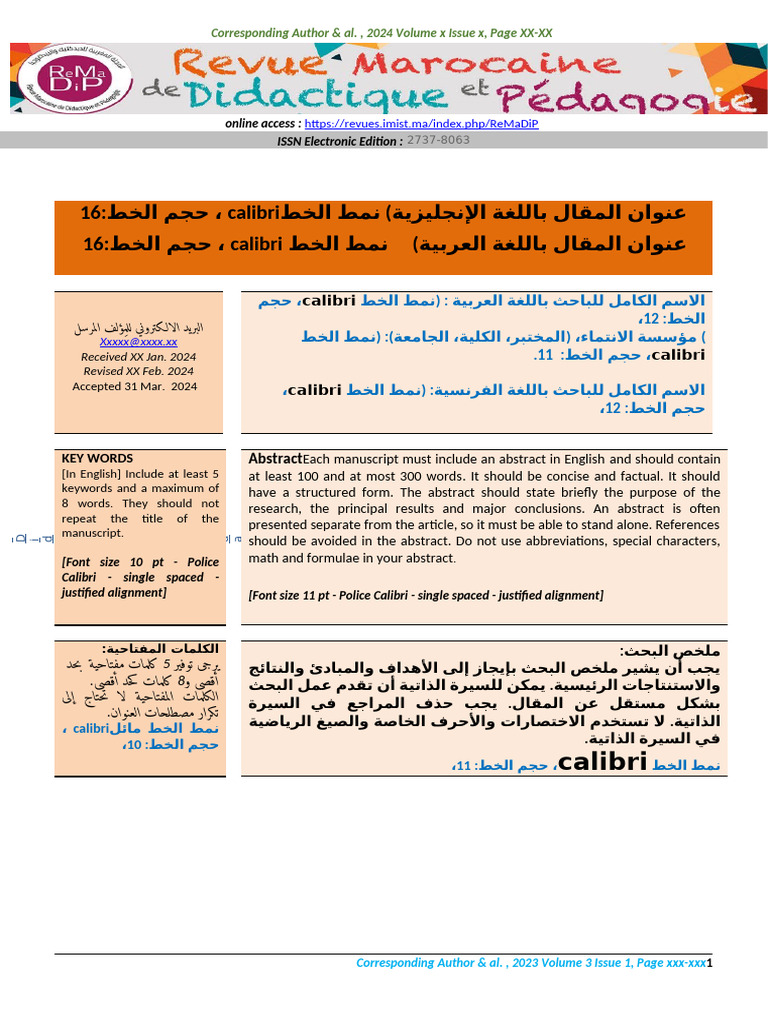 ReMaDiP Template Ar - OTH | PDF