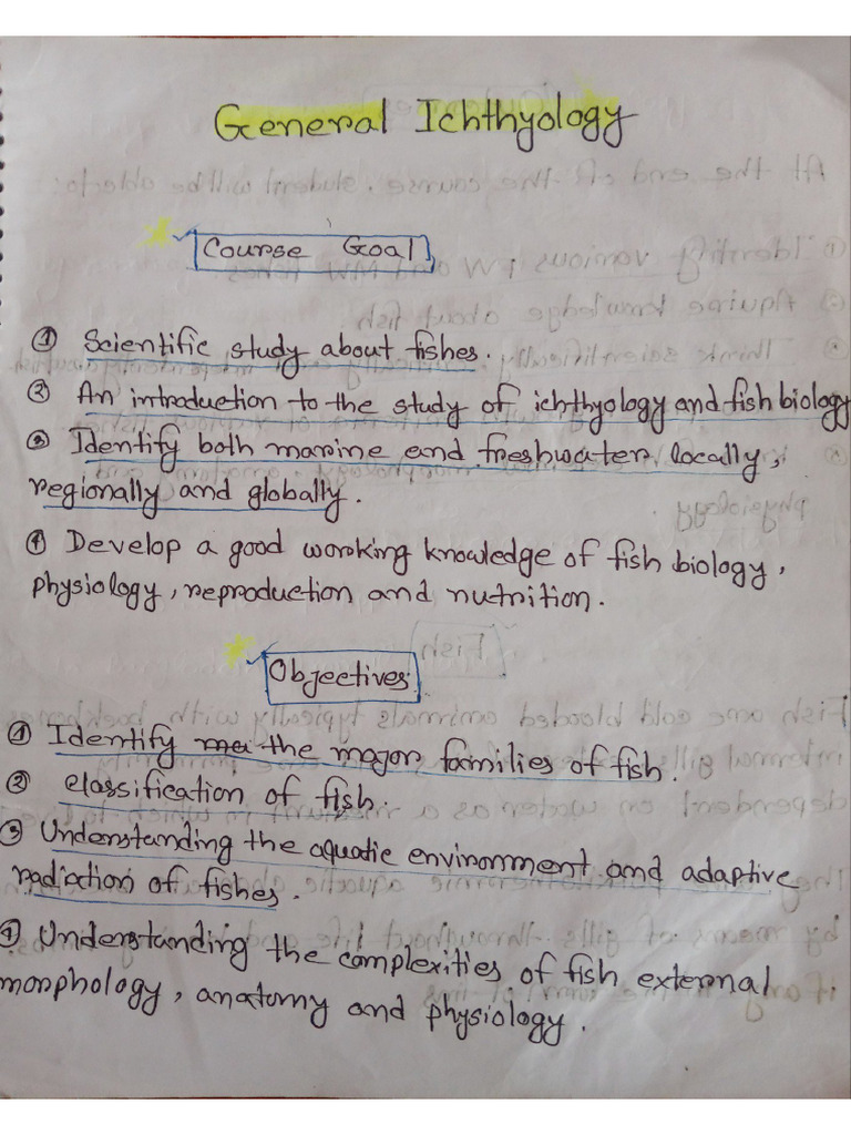 FBG L-1, S-2. Hand Note | PDF