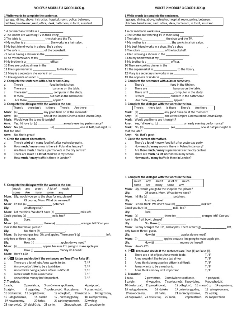 Voices 2 Module 3 Good Luck | PDF