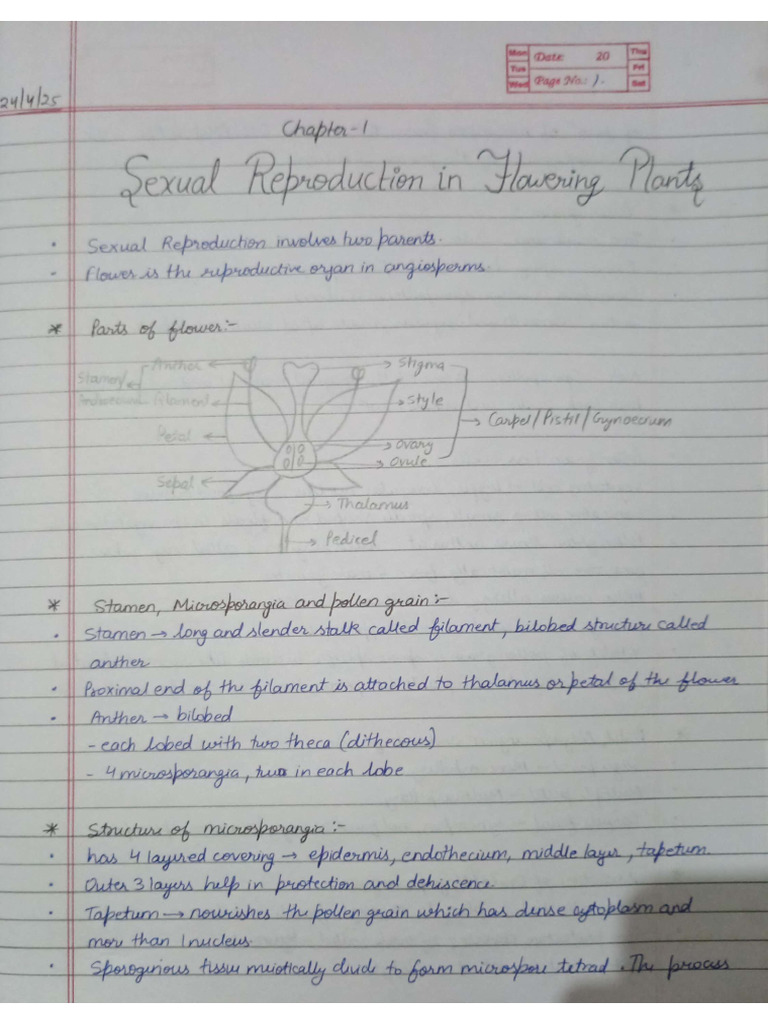 Biology Chapter 1 | PDF